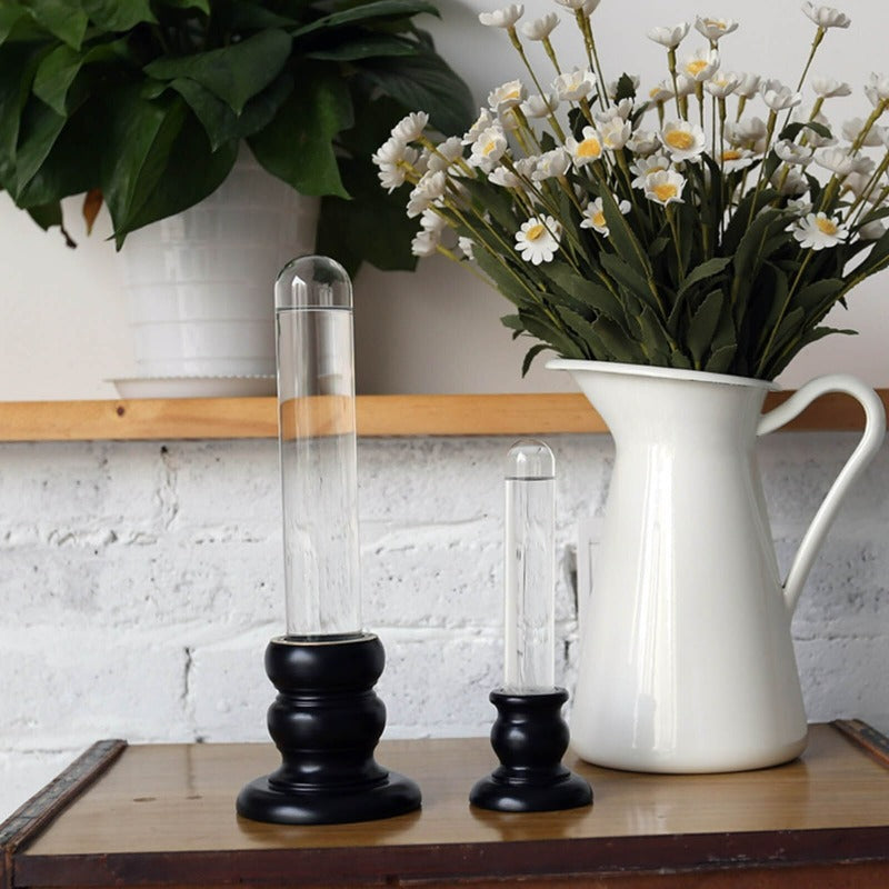Fitzroy Storm Glass | Science Decor
