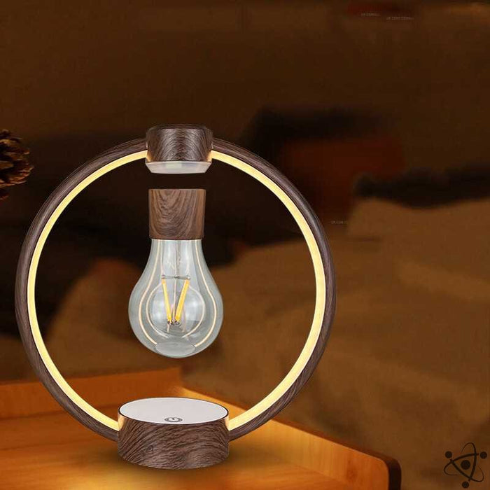 Circle Bulb Magnetic Lamp | Science Decor
