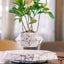 Levitating Vase | Science Decor